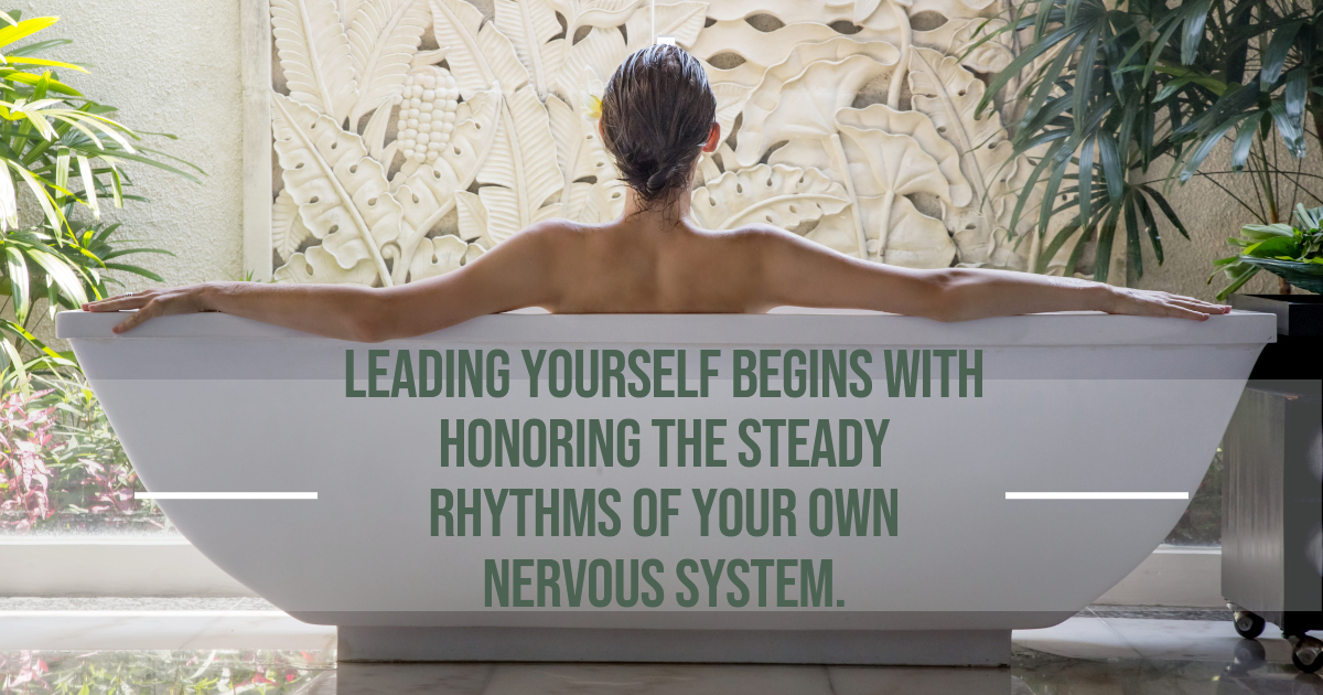 Nervous System Leadership: Building Steady Strength from Within ...